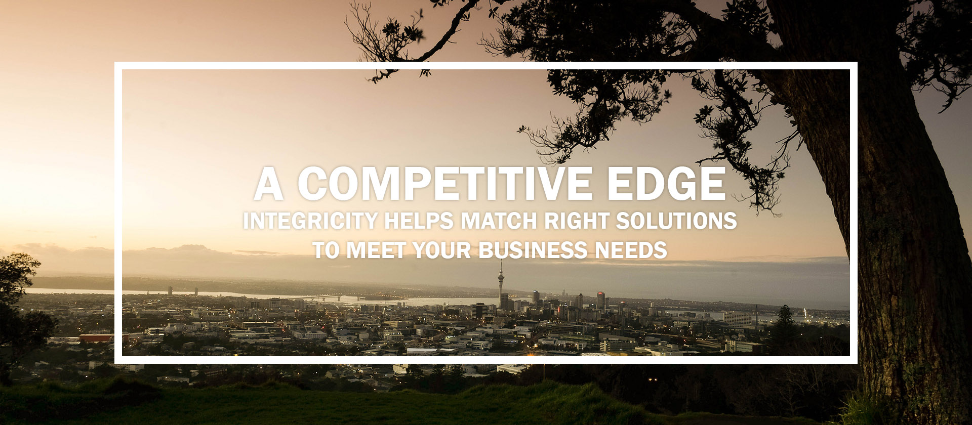 Integricity Technology New Zealand – Enterprise IT Solution